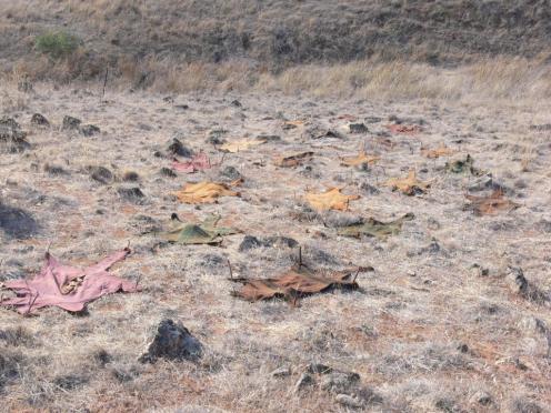 j. Palmer Sculpture Biennial 2008 | Palmer Sculpture Biennial