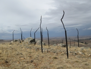 i. Palmer Sculpture Biennial 2010 | Palmer Sculpture Biennial