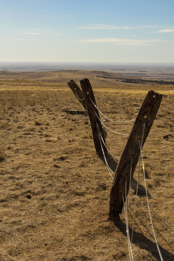 f. Palmer Sculpture Biennial 2016 | Palmer Sculpture Biennial